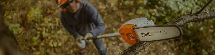 Battery Pole Pruners | Hutson Inc